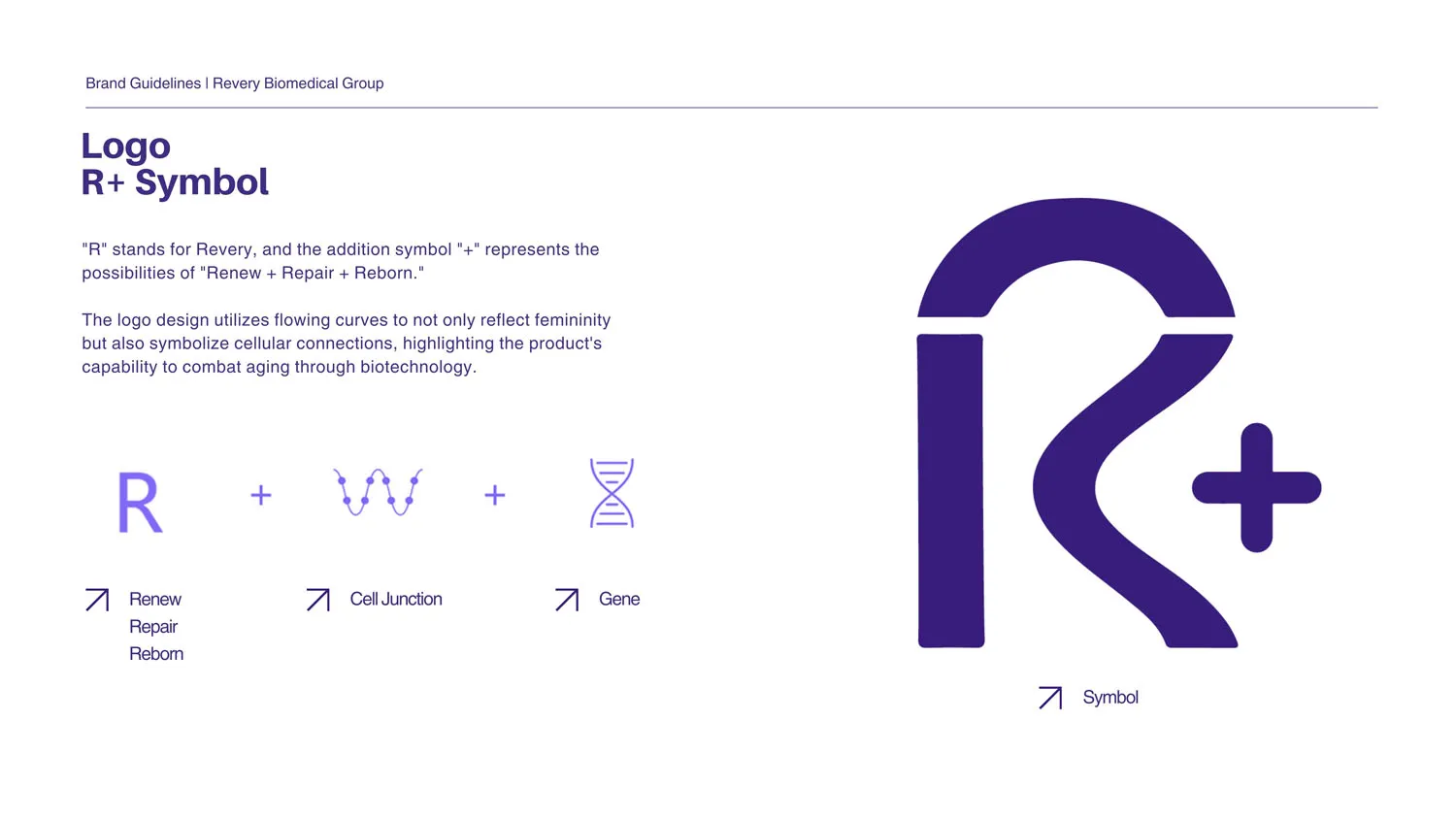Revery Biomedical Research Group 生物医疗品牌设计 l 品牌孵化案例